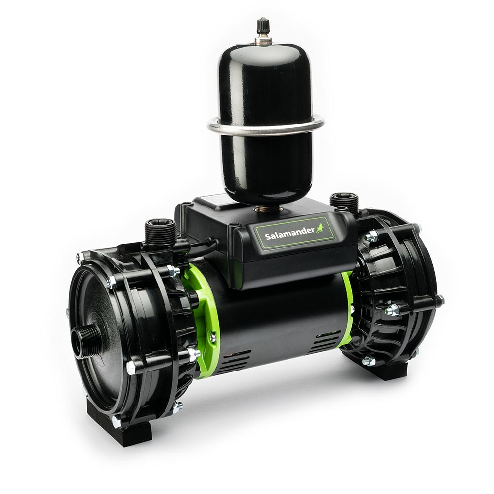 Right Pumps – SALAMANDERSTORE